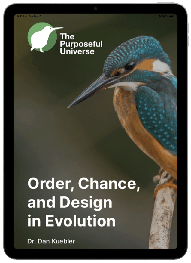 Free Download: Order, Chance, and Design in Evolution Article