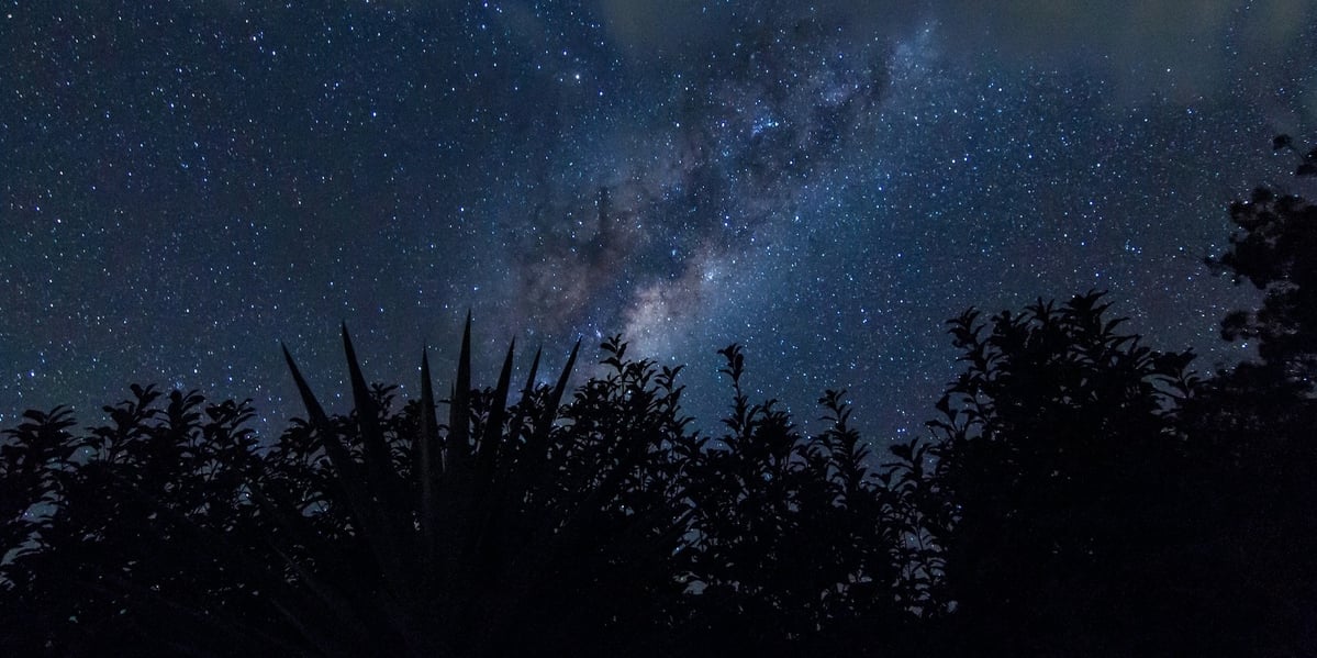 Alexander Vilenkin: Did the Universe have a Beginning?