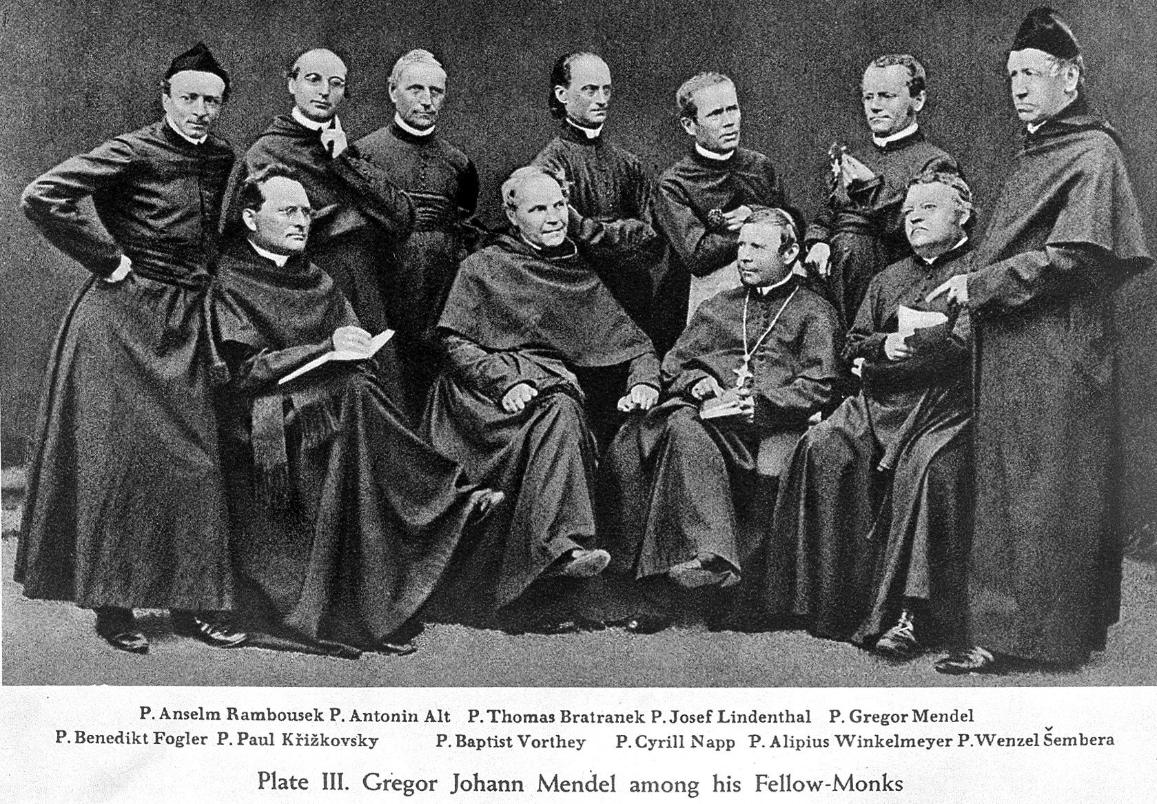 Gregor Mendel: Priest, Teacher, Abbot, and Avid Beekeeper