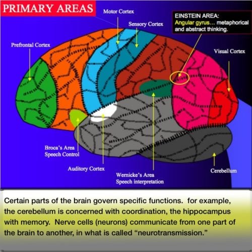 Hard-Wired for Faith: The Religious Experience and the Brain