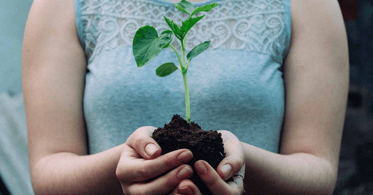 How Did Life Begin on Earth?