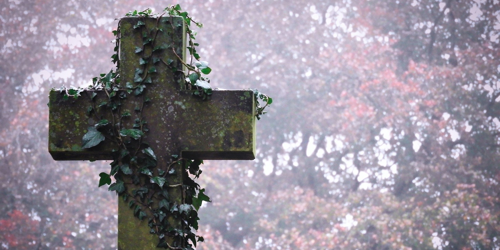 All Souls Day: History, Traditions, and Significance