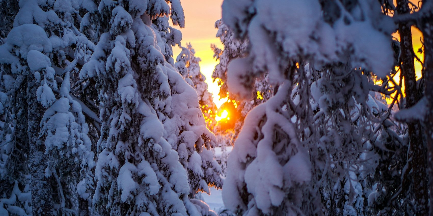 Light from Light: The Nicene Creed and Light in Nature