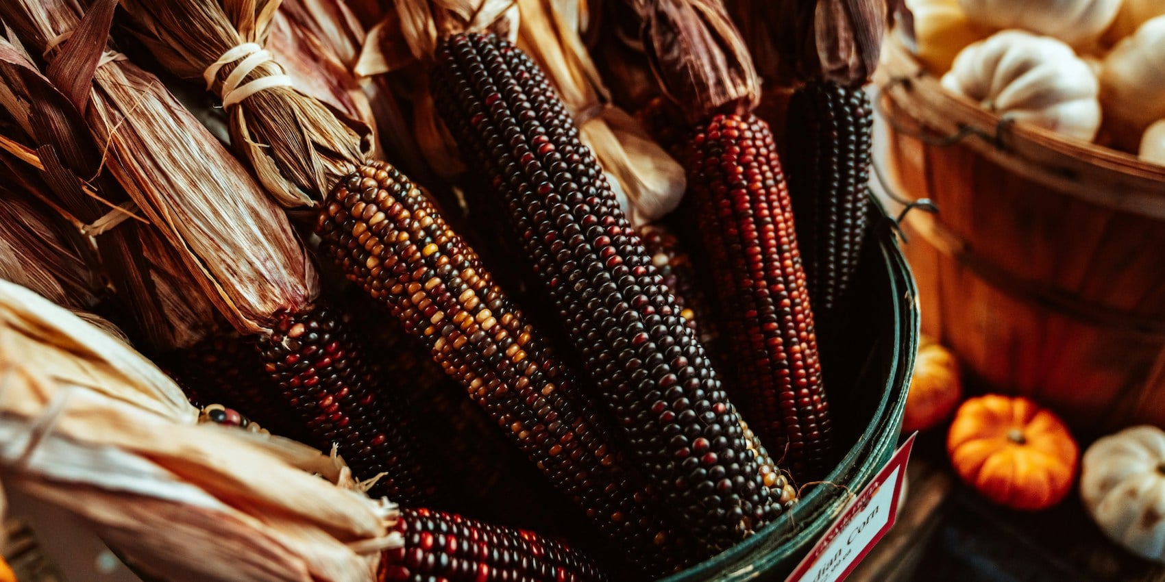 Thanksgiving, Gratitude, and the Existence of God