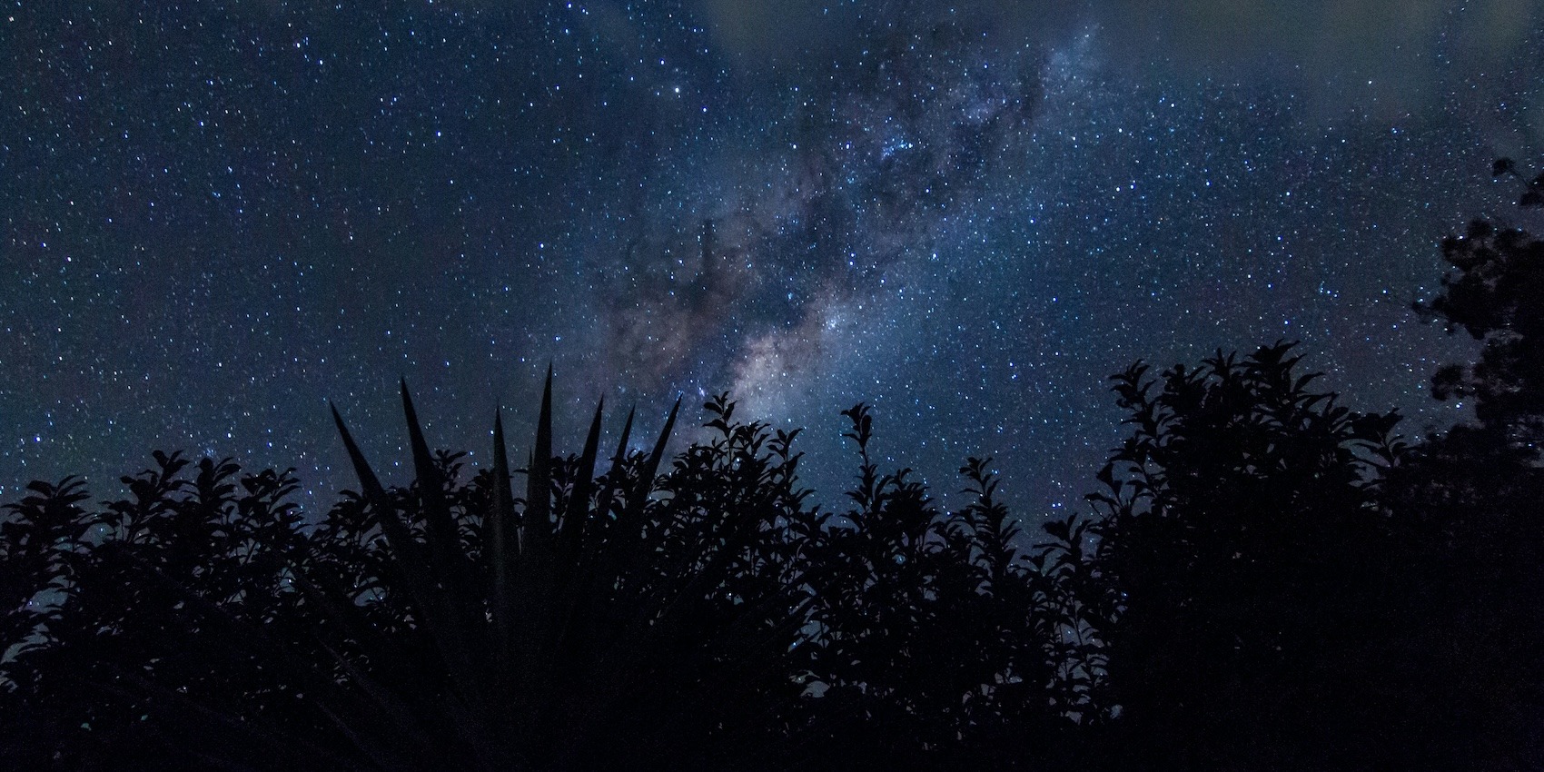 Alexander Vilenkin: Did the Universe have a Beginning?