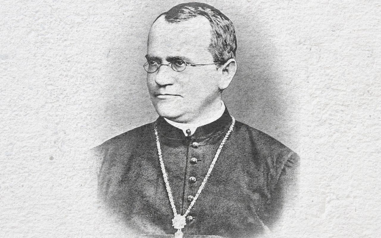 Gregor Mendel Studying Honey Bees