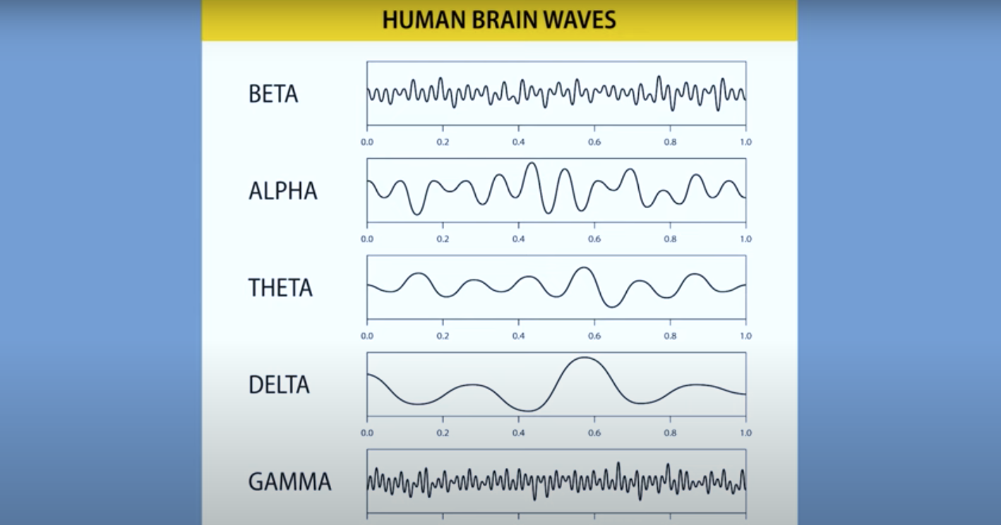 The Human Brain: What Happens When We Die? [VIDEO]
