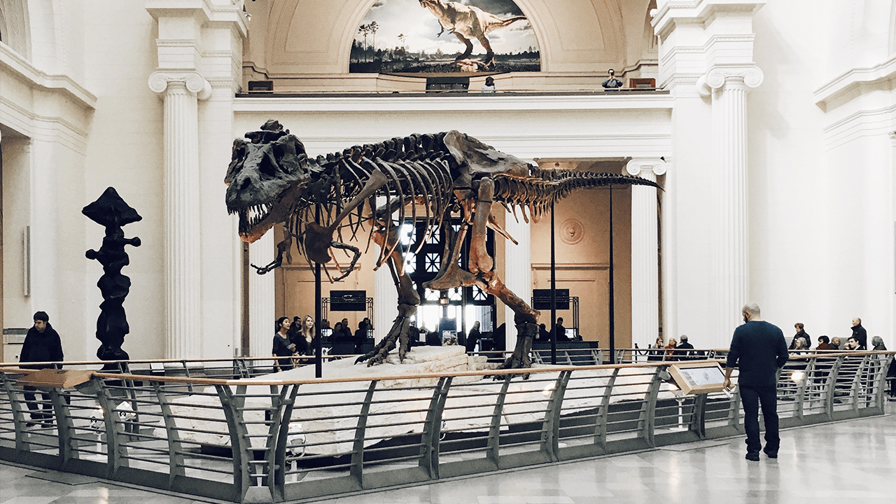 Review of "The Evolution Controversy: A Survey of Competing Theories"