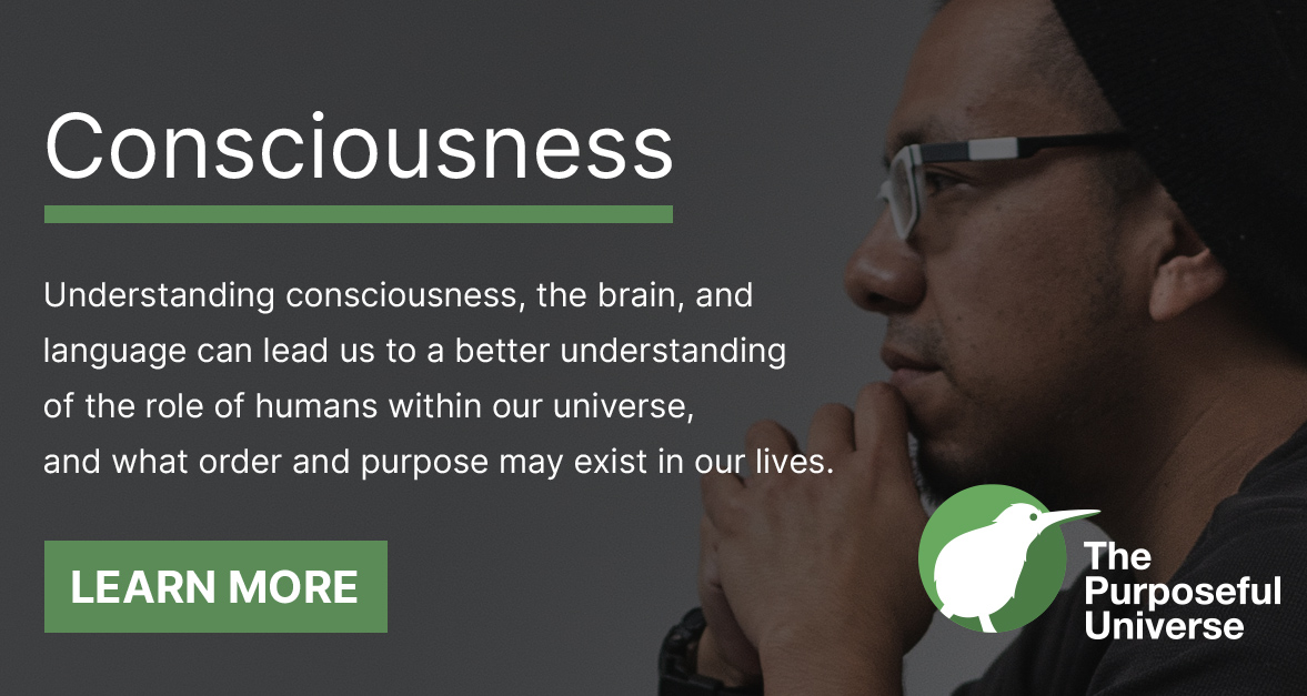 What is Consciousness? | Purposeful Universe