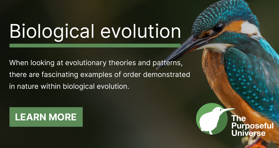 What is Biological Evolution? | Purposeful Universe